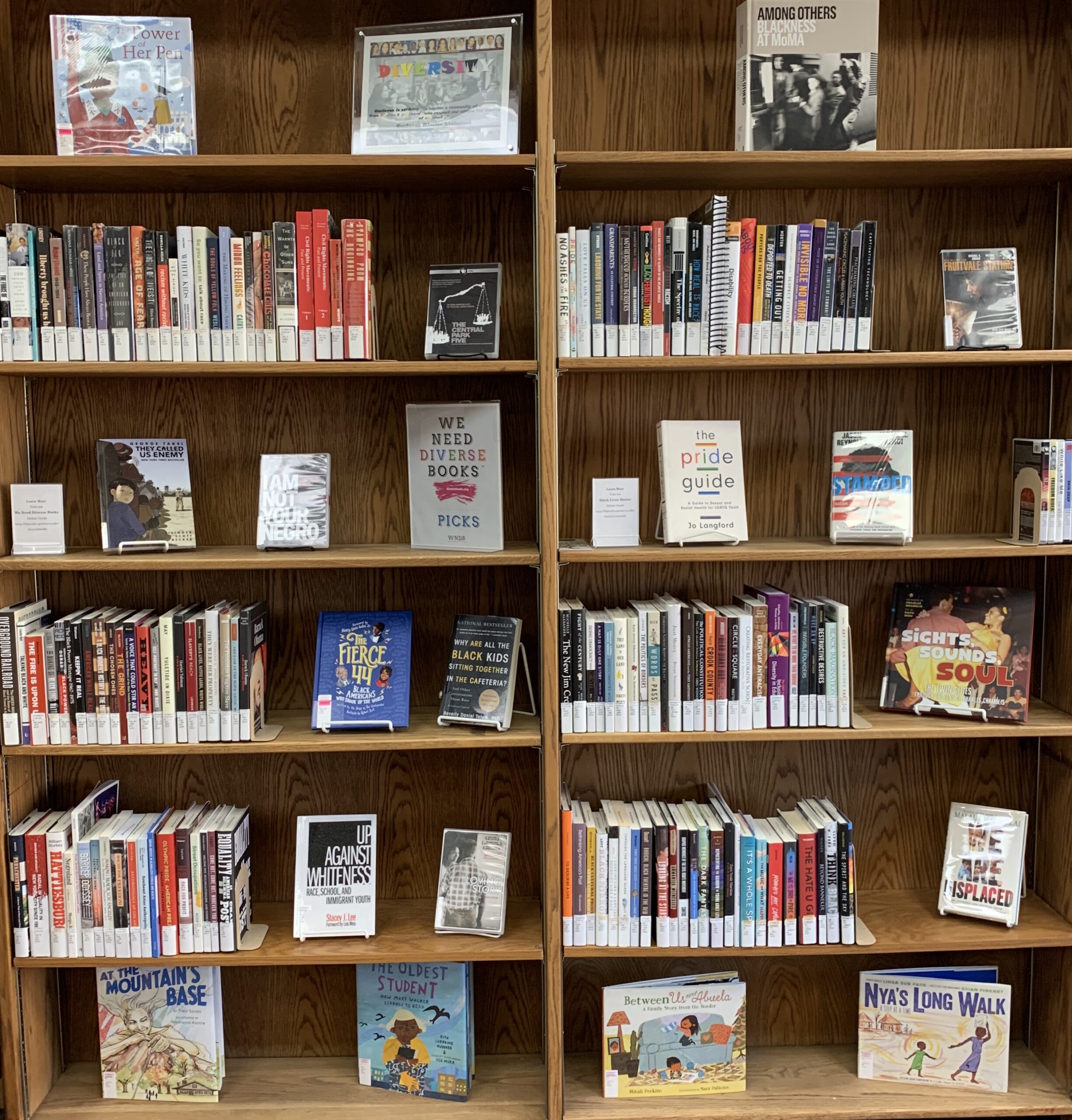 Diversity and Inclusion Library Display - Library